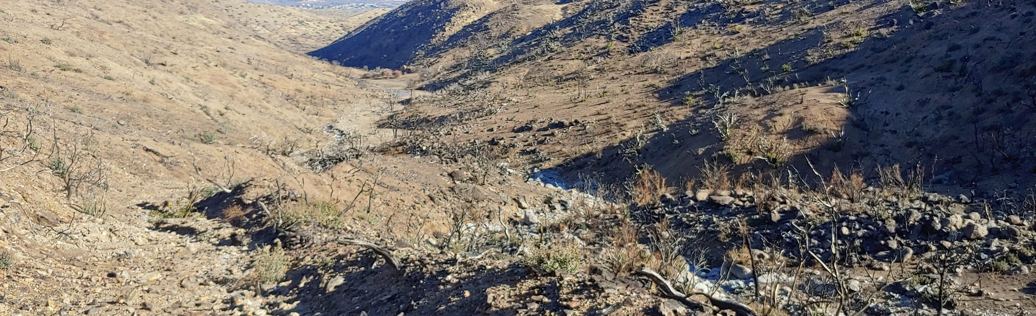 Pinal Mountain Trail: 4 Reviews, Map - Arizona | AllTrails