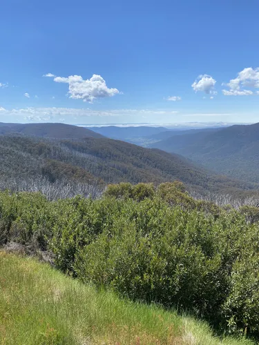 10 Best Historic Site Trails in Alpine National Park | AllTrails