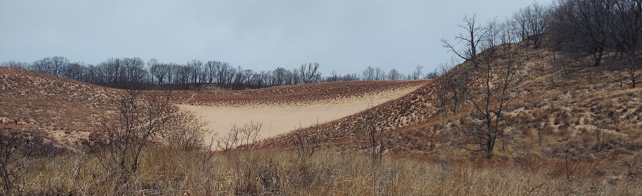 AllTrails | Mount Randall Loop: 218 Reviews, Map - Michigan