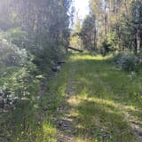 Lake Mountain and Keppel Hut Loop, Victoria, Australia - 76 Reviews ...