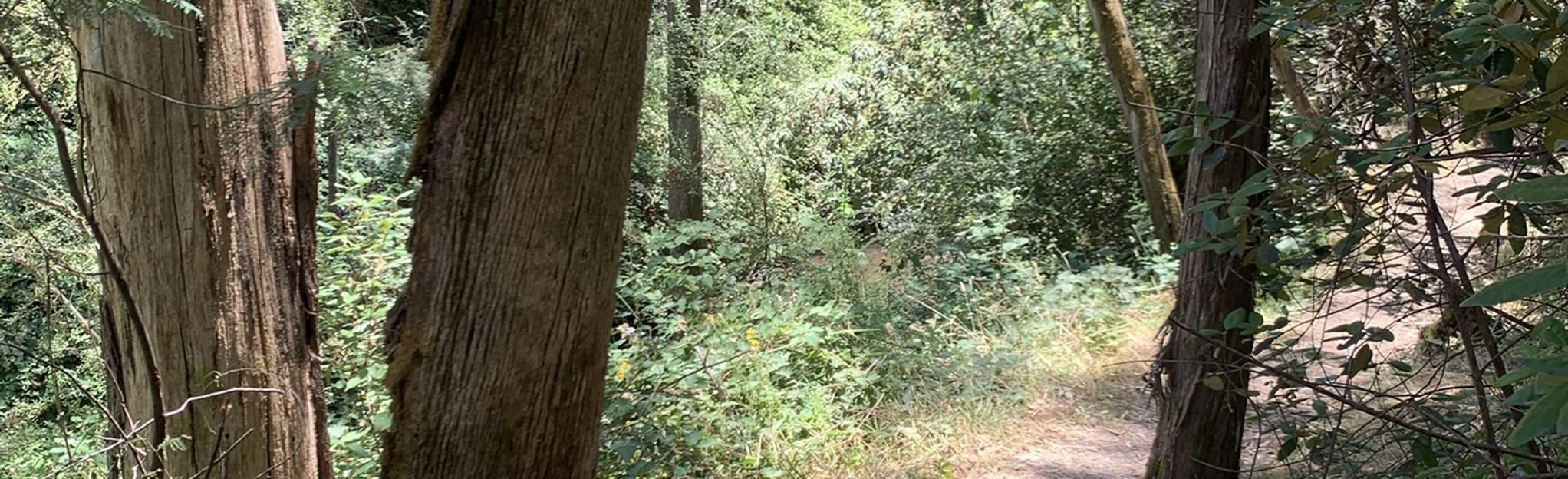 Wandi Walk: 23 Fotos - Victoria, Australien | AllTrails