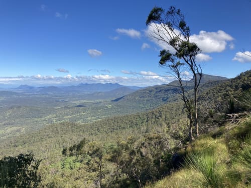 Best 10 Hikes and Trails in Main Range National Park | AllTrails