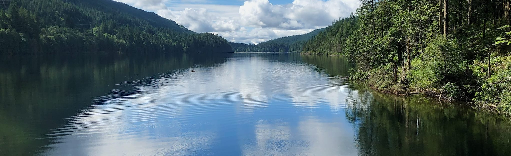 Old Buntzen Lake Trail (McCombe Lake): 6 Reviews, Map - British ...