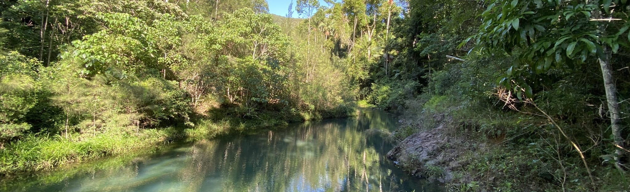 Conondale Range Great Walk: 31 Reviews, Map - Queensland, Australia ...
