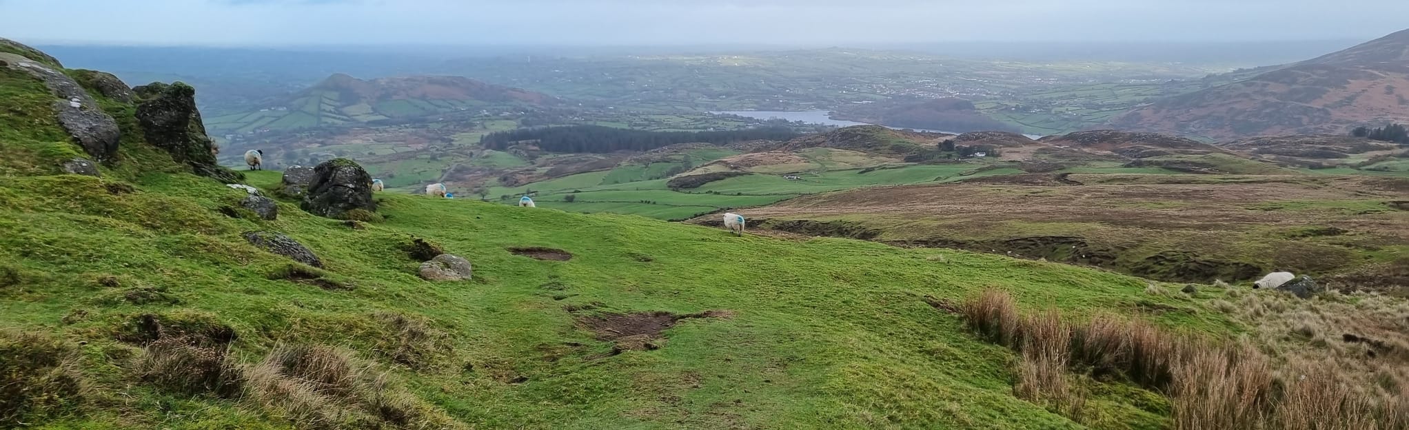 Slieve Gullion Out and Back, 124 Fotos - Armagh, Northern Ireland ...