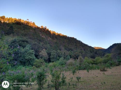 2023 Best Views Trails in Pico de Tancítaro | AllTrails