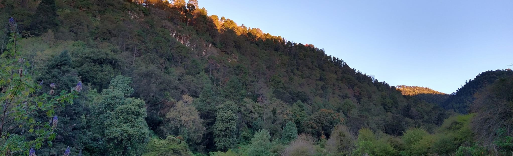 Exploración Pico de Tancítaro - Michoacán, Mexico | AllTrails
