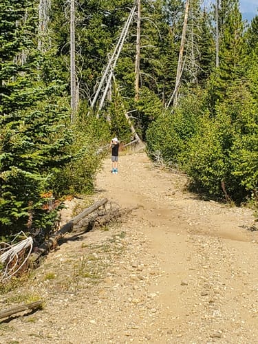 Best Hikes and Trails in Marshall Mountain Wilderness Study Area ...