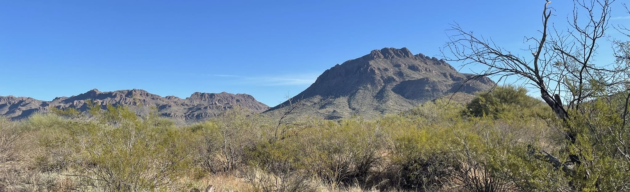 Ironwood, Prospector and Caliche Flats Loop | Map, Guide - Arizona ...