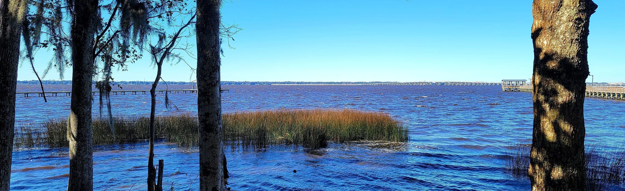 Walter Jones Park and Mandarin Museum Loop, 92 Fotos - Florida | AllTrails