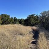 Government Canyon Loop, Texas - 84 Reviews, Map | AllTrails