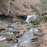 Roaring Run Trail, Pennsylvania - 479 Reviews, Map | AllTrails