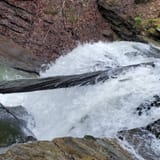 Roaring Run Trail, Pennsylvania - 479 Reviews, Map | AllTrails