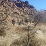 Devil's Canyon Trail, Arizona - 170 Reviews, Map | AllTrails