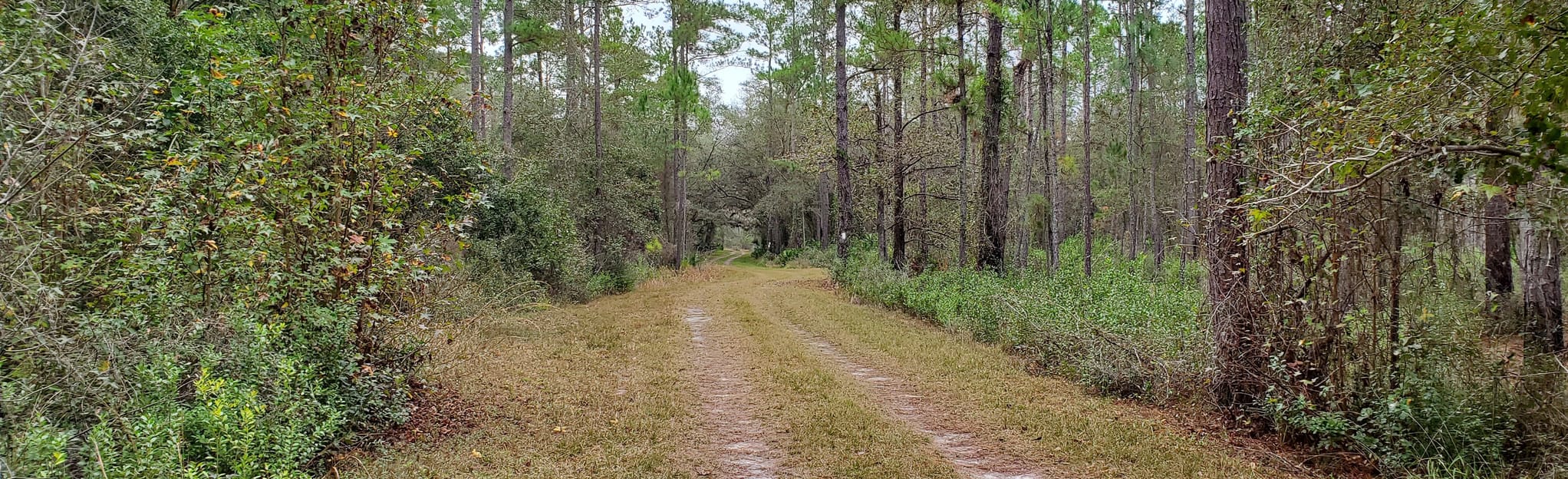 AllTrails | Caravelle Ranch White and Yellow Blaze Loop : 9 Reviews ...