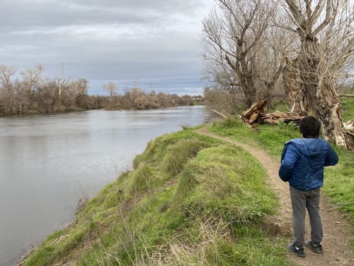 Best Hikes and Trails in Sutter's Landing Regional Park | AllTrails