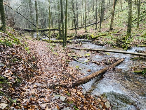 Best Hikes and Trails in Hyner Run State Park | AllTrails