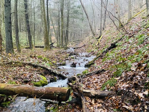 Best Hikes and Trails in Hyner Run State Park | AllTrails