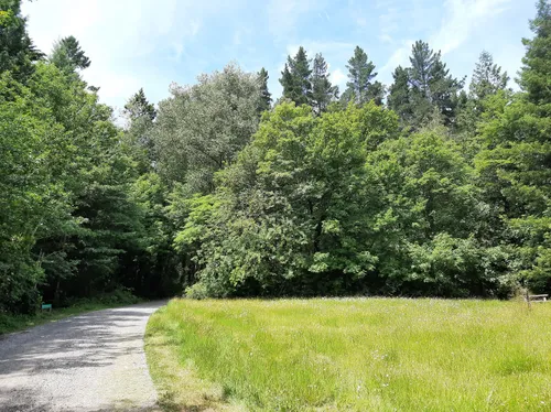 10 Best Walking Trails in Hanmer Springs | AllTrails