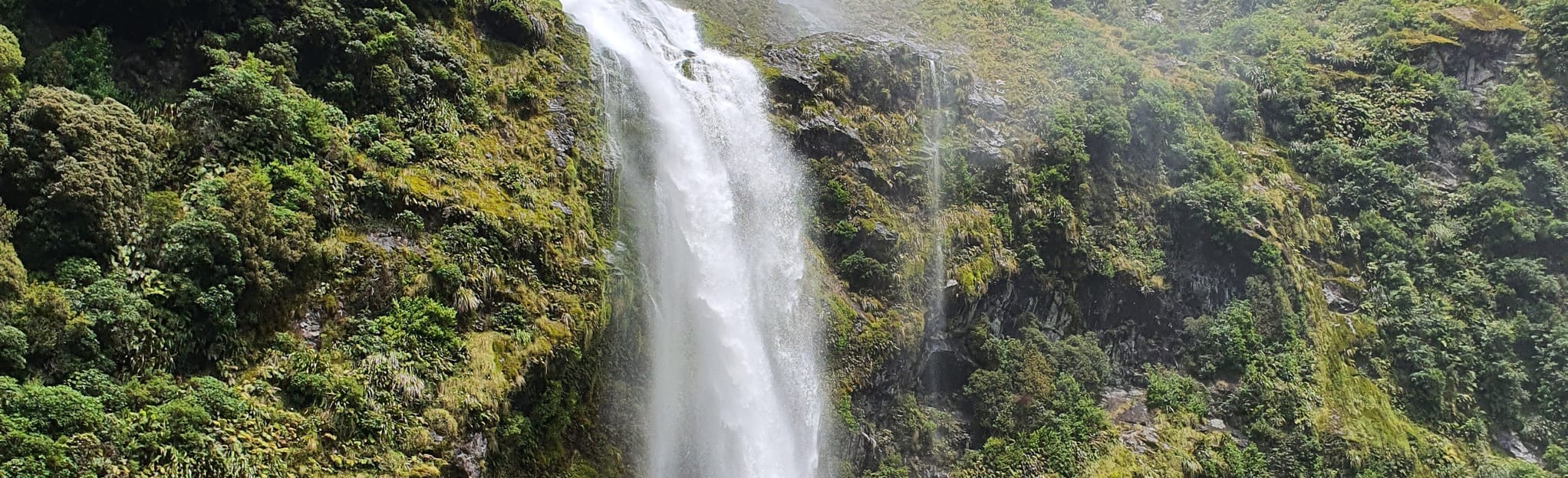 Sutherland Falls Track: 11 Reviews, Map - Southland, New Zealand ...