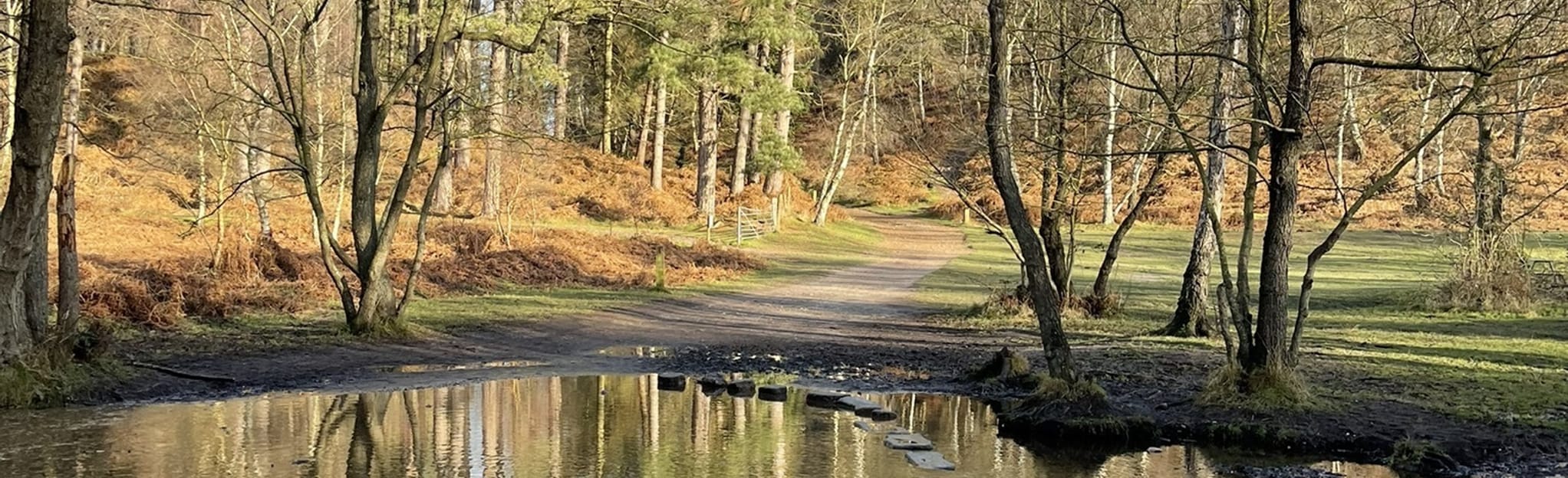 Sherbrook Valley to Seven Springs, Staffordshire, England - 120 Reviews ...