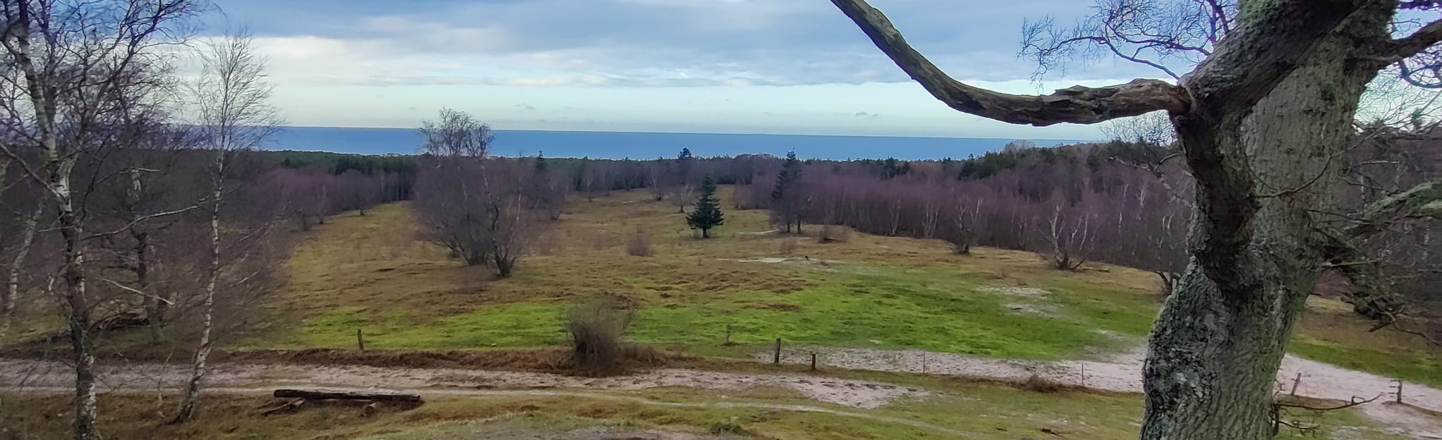 Tisvilde Hegn - Melby Overdrev | Map, Guide - Capital Region of Denmark ...