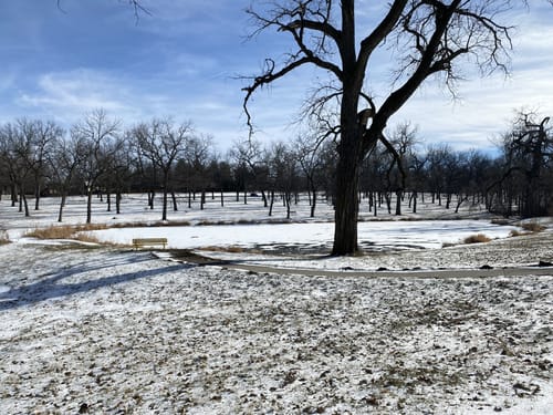 Best Hikes and Trails in Walnut Grove Park | AllTrails