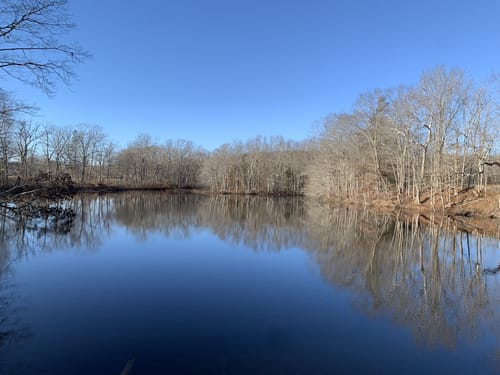 Best Hikes and Trails in Hewitt Farm | AllTrails