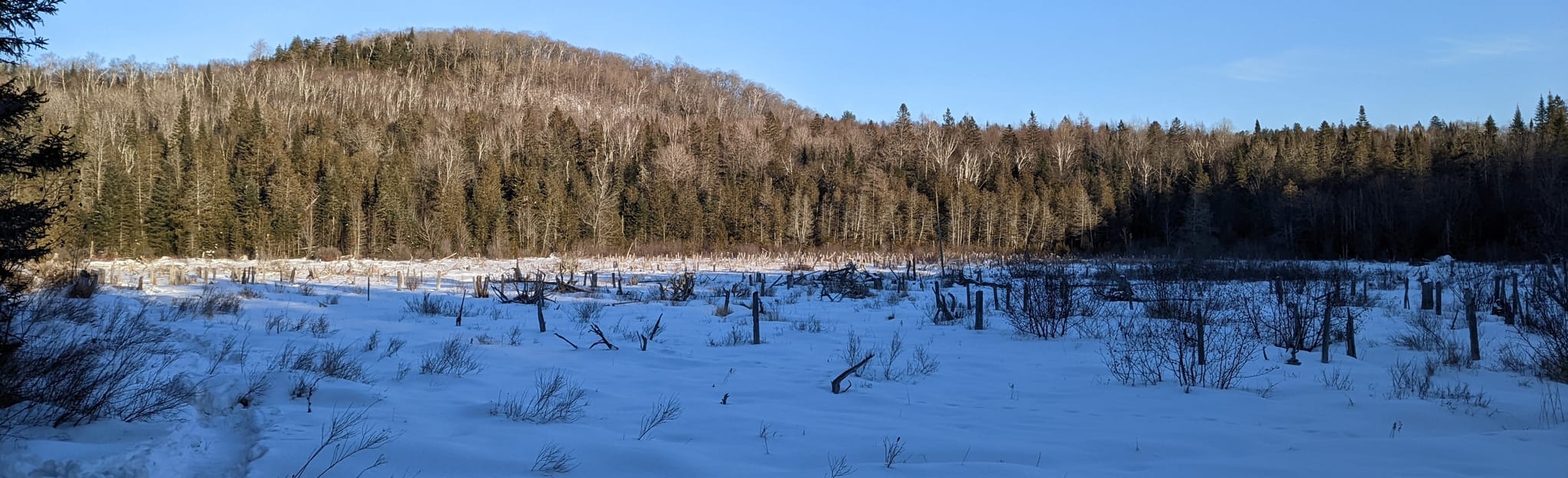 Rang Loop via Western Trail: 59 Reviews, Map - Quebec, Canada | AllTrails