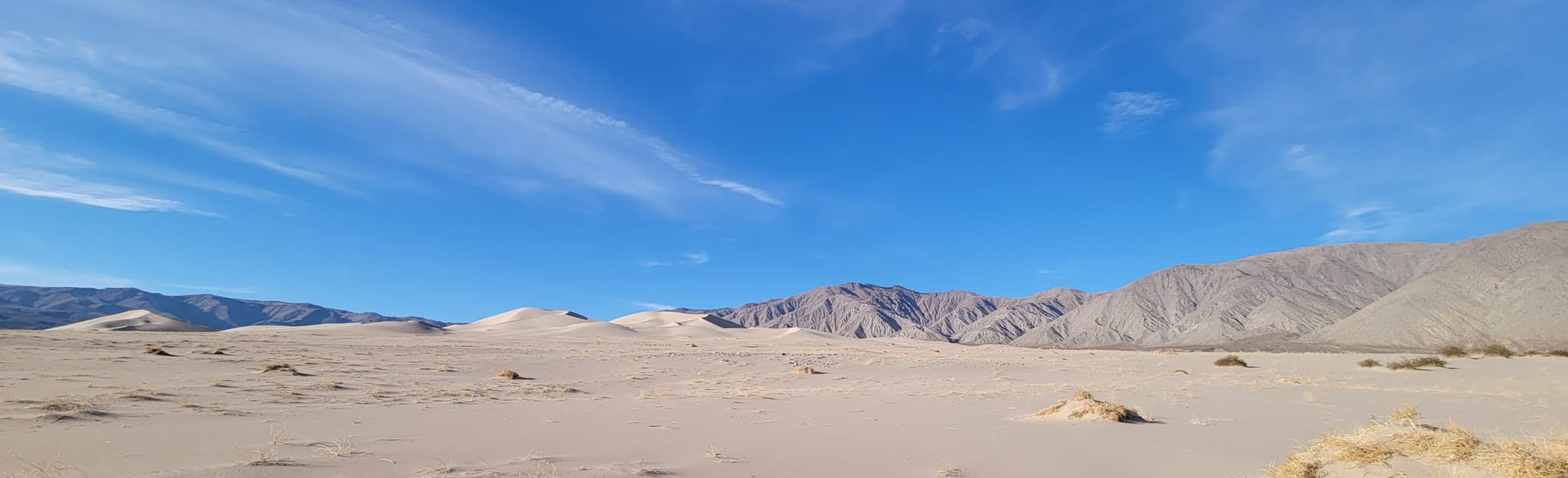 Panamint Dunes Trail, California - 85 Reviews, Map | AllTrails