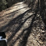 Hard Times Road Trail, North Carolina - 422 Reviews, Map | AllTrails