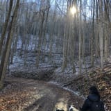 Hard Times Road Trail, North Carolina - 312 Reviews, Map | AllTrails