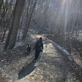 Hard Times Road Trail, North Carolina - 312 Reviews, Map | AllTrails