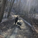 Hard Times Road Trail, North Carolina - 312 Reviews, Map | AllTrails