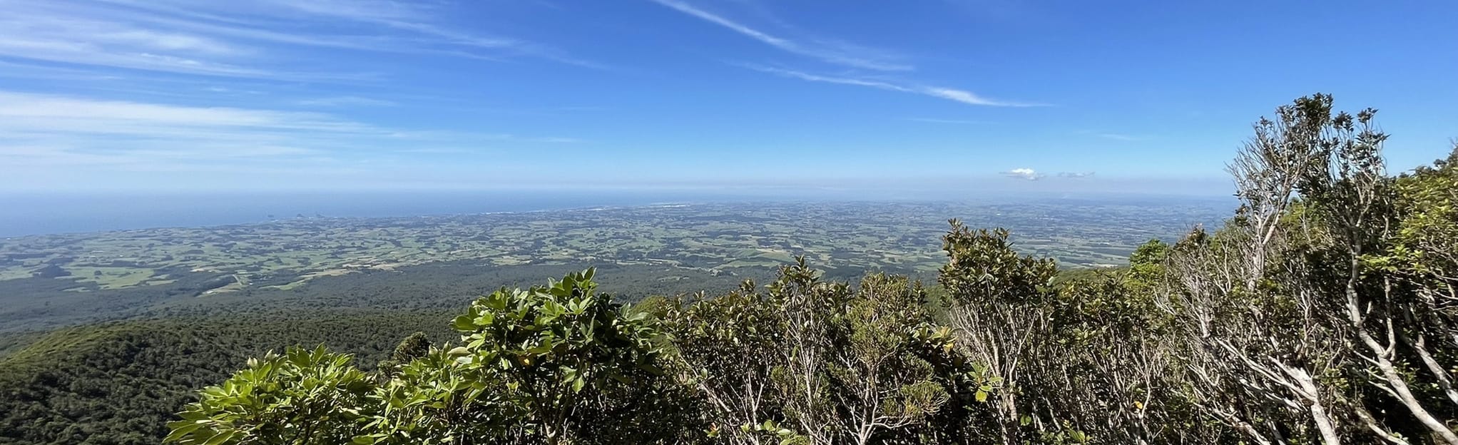 Mangorei Track to Henry Peak, 337 Fotos - Taranaki, New Zealand | AllTrails