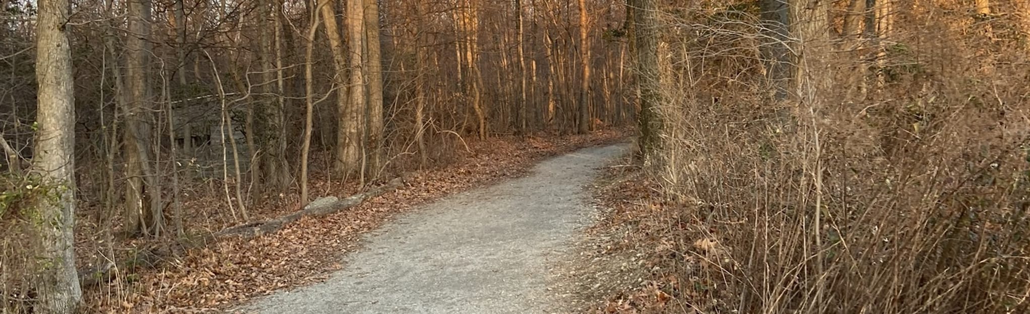 Rocky Ridge Trail 2 Loop, Pennsylvania - 599 Reviews, Map | AllTrails