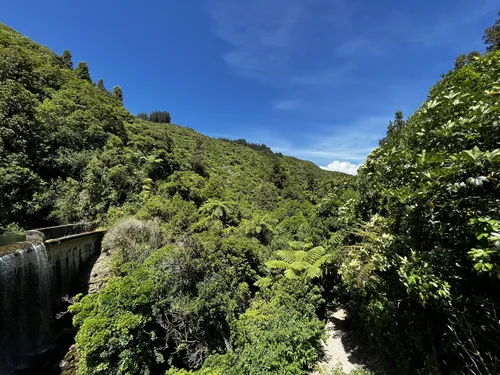 10 Best Trails and Hikes in Upper Hutt | AllTrails