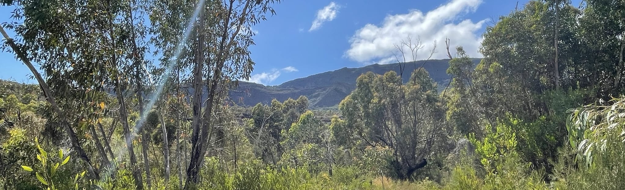 Mount Difficult (Gar) via Troopers Creek: 442 foto - Victoria ...