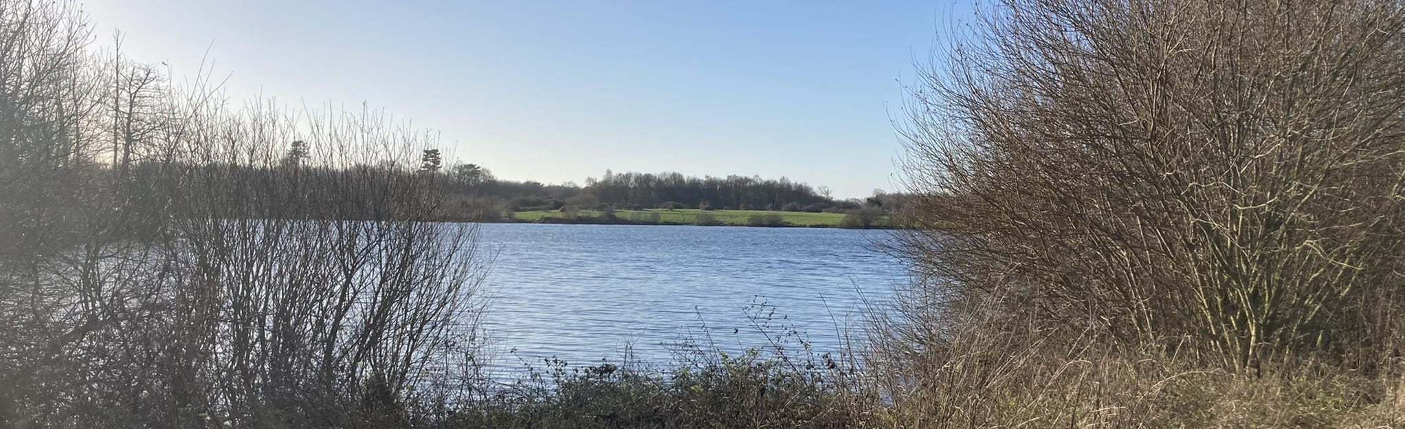 Alton Water Circular: 107 Reviews, Map - Suffolk, England | AllTrails