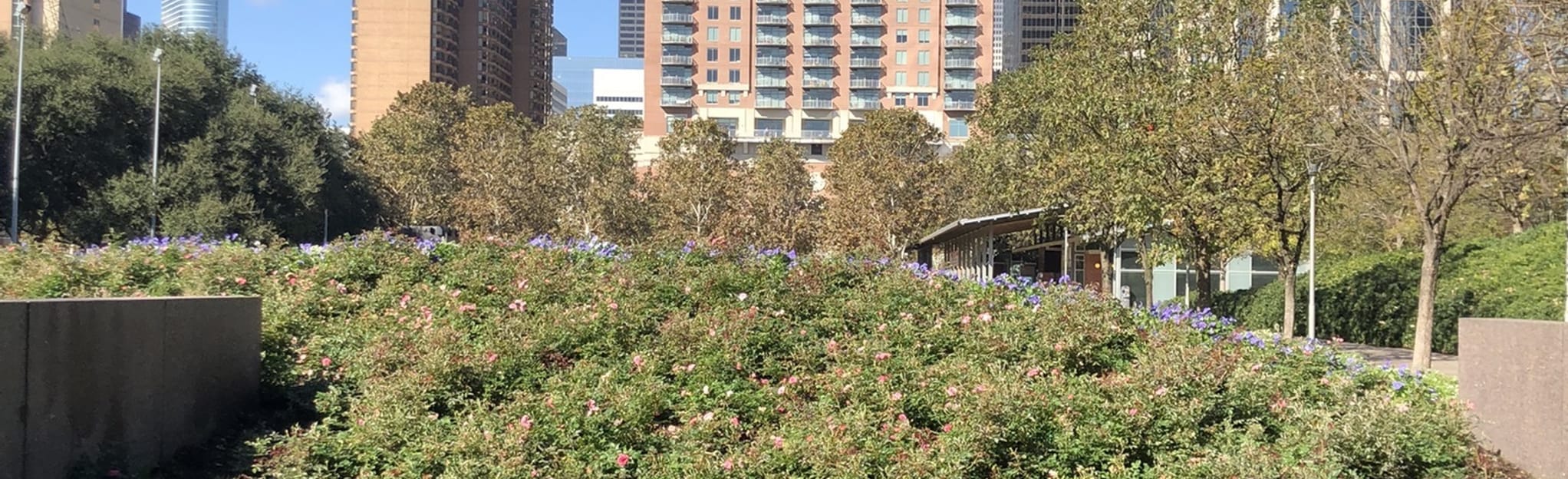 Discovery Green Loop, Texas - 75 Reviews, Map | AllTrails