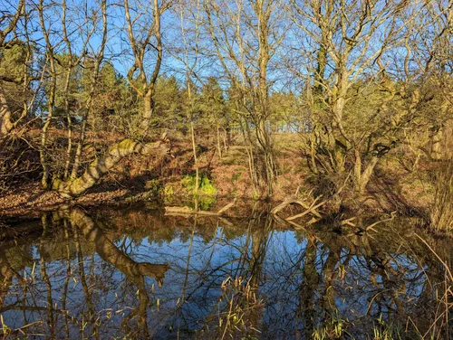 Best Hikes and Trails in Beacon Country Park | AllTrails