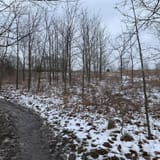 Decew Falls Loop, Ontario, Canada - 294 Reviews, Map | AllTrails