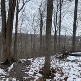 Decew Falls Loop, Ontario, Canada - 294 Reviews, Map | AllTrails