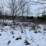 Decew Falls Loop, Ontario, Canada - 294 Reviews, Map | AllTrails