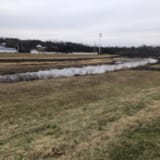 Levee Loop, Pennsylvania - 208 Reviews, Map | AllTrails