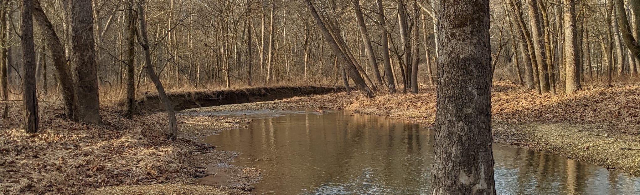 Patton Cave via Grubb Ridge and Hayes Trail, Indiana - 628 Reviews, Map ...