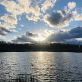 Lost Turkey Trail, Pennsylvania - 64 Reviews, Map | AllTrails