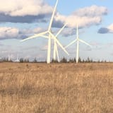 Lost Turkey Trail, Pennsylvania - 64 Reviews, Map | AllTrails