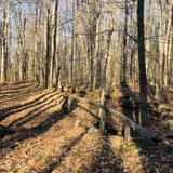 Lost Turkey Trail, Pennsylvania - 64 Reviews, Map | AllTrails