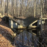 Lost Turkey Trail, Pennsylvania - 64 Reviews, Map | AllTrails